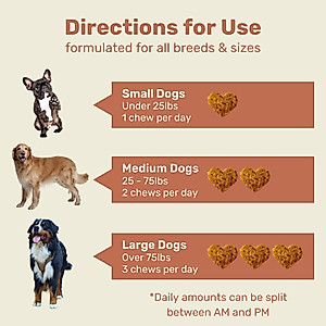 Canine Keeps Dog Allergy Chews - Itch Relief for Dogs – Omega 3 Salmon Fish Oil, Probiotics & Quercetin - Immune Support & Dog Allergy Relief Chews – Digestion + Skin & Coat Health - 90 Ct.
