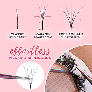 LLBA LashFolio Narrow Promade Fans | Handmade Volume Eyelashes | Multi Selections 5D~10D | C CC D Curl | Thickness 0.03~0.07mm | 8-15mm Length | Long Lasting & Easy Application (10D-0.03 D 8mm-15mm)