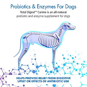 Total Digest™ Canine Probiotics and Enzymes for Dogs, All-Natural Digestive System Dietary Supplement Formula for Dogs (120 Days)
