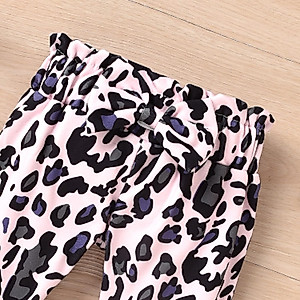 fioukiay Preemie Newborn Baby Girls Clothes Infant Romper Bodysuit Pants Clothing Set Fall Winter Outfits (Pink Leopard 01, Preemie)