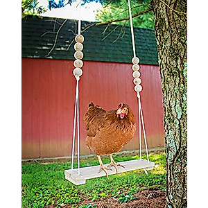Chicken Swing Toy for Coop Handmade in USA!!! Natural Safe Wooden Accessories Large Durable Perch Ladder for Poultry Run Rooster Hens Chicks Pet Parrots Macaw Entertainment Stress Relief for Birds