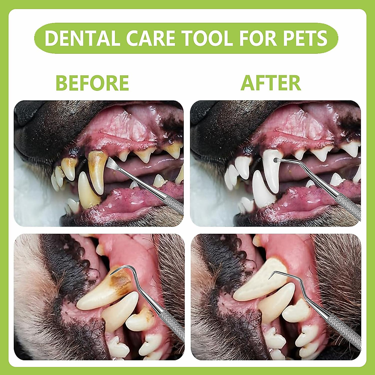 PARYUNGR Dental Tools Pet Dog Teeth Cleaner Tool Kit, Stainless Steel Plaque Remover Dental Picks Tooth Tartar Scraper, Pets Oral Care Hygiene Set for Cats and Dogs Use with Case