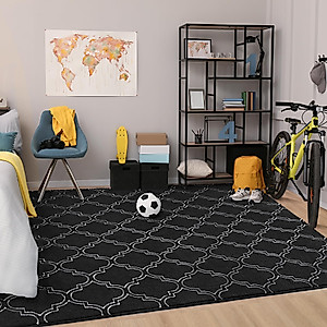 Chicrug Shag Geometric 4x6 Area Rug for Living Room, Large Modern Memory Foam Indoor Carpet, Fluffy Rug for Bedroom Bedside Room Decor for Family Girls Kids Nursery, Black/White