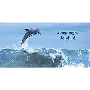 Big Beautiful Ocean – A Photographic Exploration – Perfect for Infants and Toddlers, Ages 0-3 – Nature and Science Photo Book