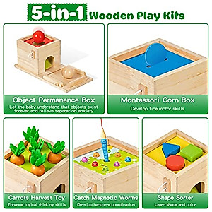5-in-1 Wooden Play Kit Montessori Toy - Object Permanence Box, Coin Box, Carrot Harvest, Catch Worm, Shape Sorter - Toddler Learning Toy for Kid Age 1, 2, 3 Year Old, Girl boy Gift for Baby 6-12 Month