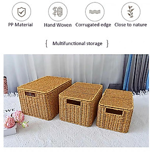 RT&BS Set of 3 Wicker Storage Basket with Lid, Handwoven Storage Basket Box - Organizer for Toys Books Fruits Stationery