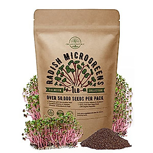 Radish Sprouting & Microgreens Seeds - Non-GMO, Heirloom Sprout Seeds Kit in Bulk 1lb Resealable Bag for Planting & Growing Microgreens in Soil, Coconut Coir, Garden, Aerogarden & Hydroponic System.