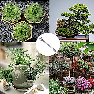 GOTOTOP Bonsai Rake Lightweight 3-Prong Stainless Steel Root Rake Loosen Soil Bonsai Tree Toool with Ergonomic Handle for Outdoor