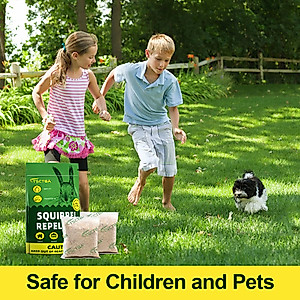 Ksqurelnb Squirrel Repellent Outdoor, Chipmunk Repellent Outdoor for Plants, Squirrel Deterrent, Keep Squirrels Away from Garden, Get Rid of Squirrels, Mint Squirrel Repellents for Attic-8P