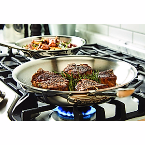 All-Clad Stainless Steel Fry Pan Cookware, 12-Inch, Silver