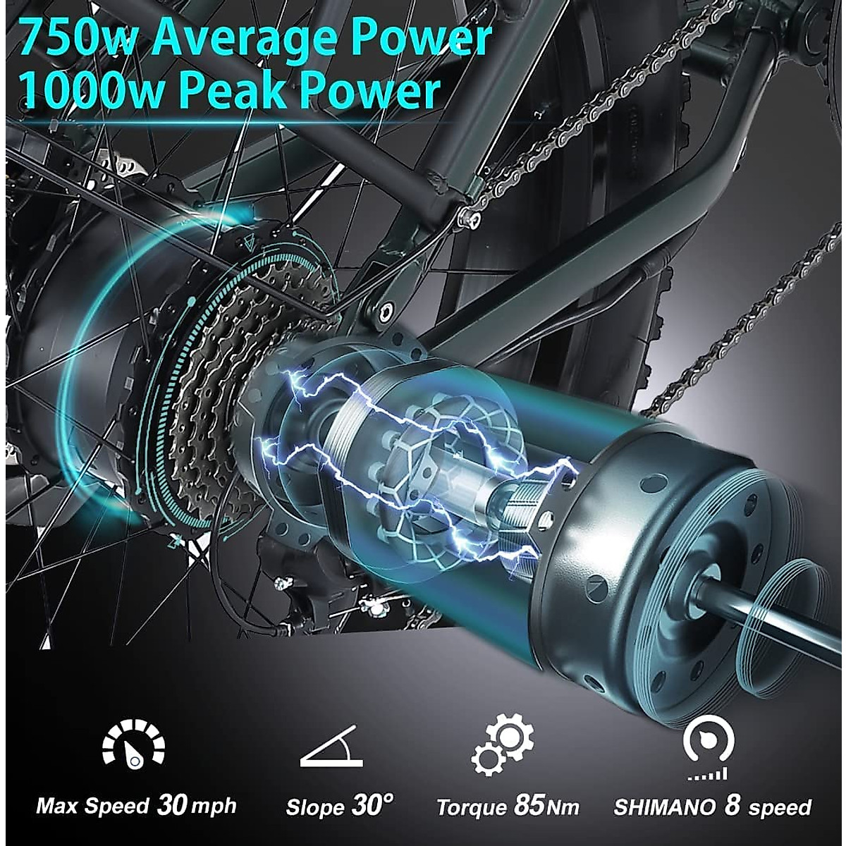 DAMSON 1000W Electric Bike Ebike for Adult 48V 20AH Removable Battery 26"X4"Fat Tire up to 30MPH &75 Miles Long Range Off Road Beach Mountain Electric Bicycle with Dual Hydraulic Disc Brakes