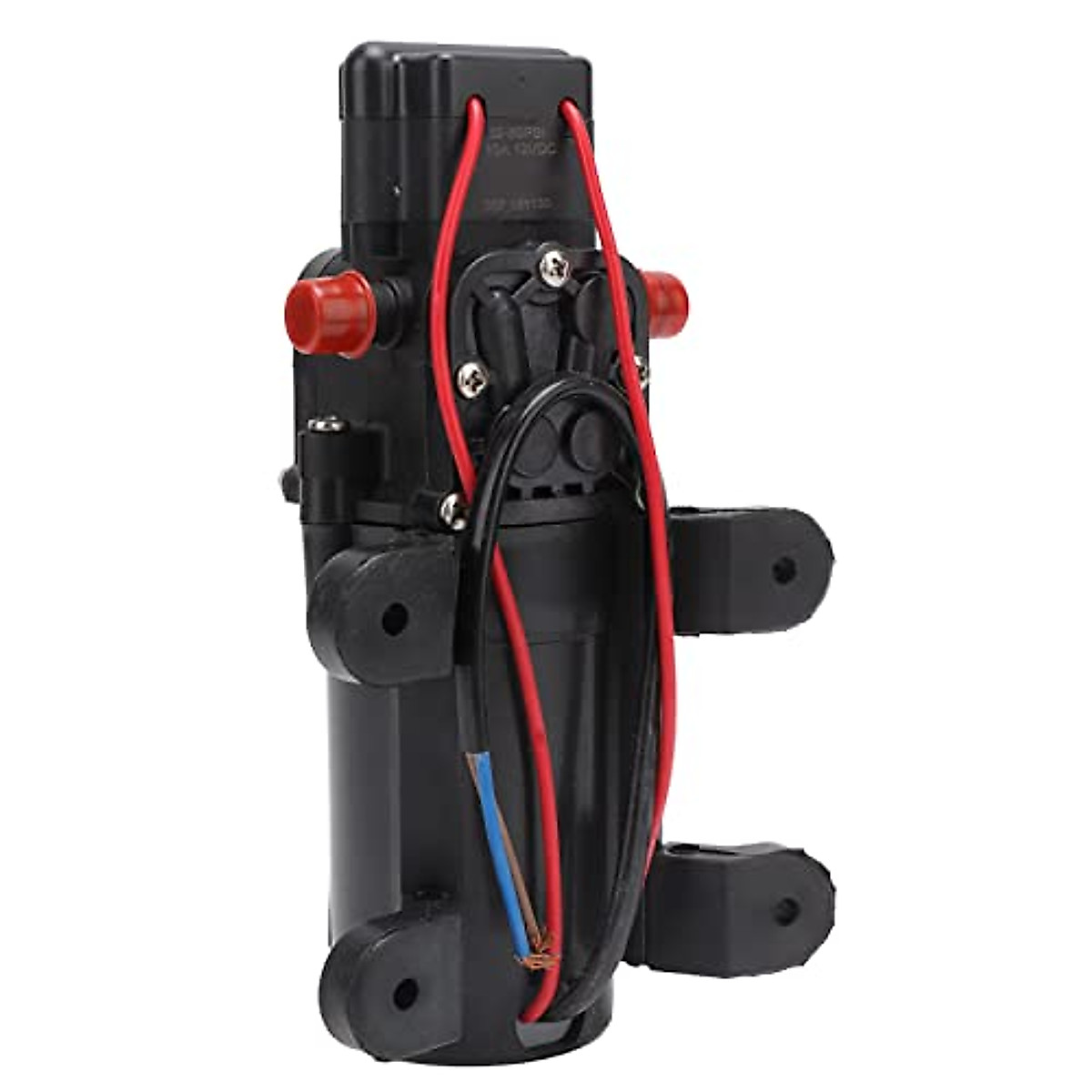 Water Pump, Diaphragm Water Pump Self Priming Lightweight Stable Performance Large Flow for Agriculture(RL 2202)