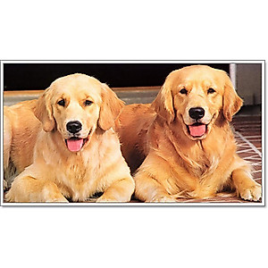 X2 Pcs(100ml) Dog Multivitamin Daily Essential Dog Food Vitamins & Minerals Omega3, Helps Support Healthy, More Fat, Digestion, Skin, Coat, Allergy Immune Supplement Nourished Blood & Eye