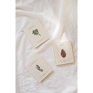 Our Little Adventures: Stories Featuring Foundational Language Concepts for Growing Minds (Our Little Adventures Series)