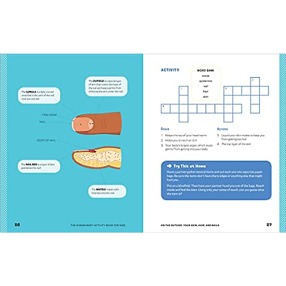 Human Body Activity Book for Kids: Hands-On Fun for Grades K-3