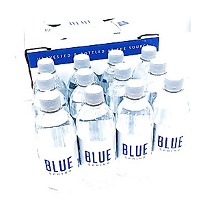 Blue Spring Living Water, Pure Premium Natural Spring Water, pH balance of 7.1-7.2, Bottled Spring Water, 16.9 Fl Oz, (Pack of 12)
