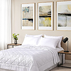 LAVANCE 100% Viscose Made from Bamboo Comforter Queen Size Lightweight Silky Down Alternative Duvet Insert All Season Soft Comforter - White, 90x90 Inches