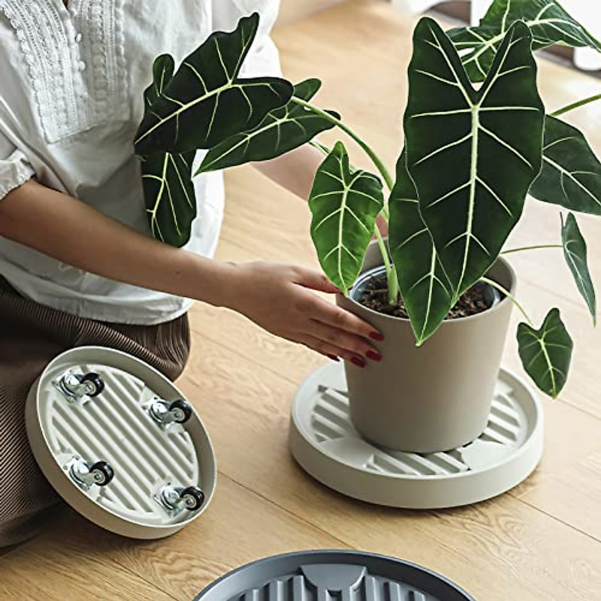 auons Plant Caddy with Wheels, Rolling Plant Stand with Casters Heavy Duty Plant Dolly, Plastic Plant Roller Base, Movable Planter Trolley for Heavy Duty Planter, Beige, 12.4in