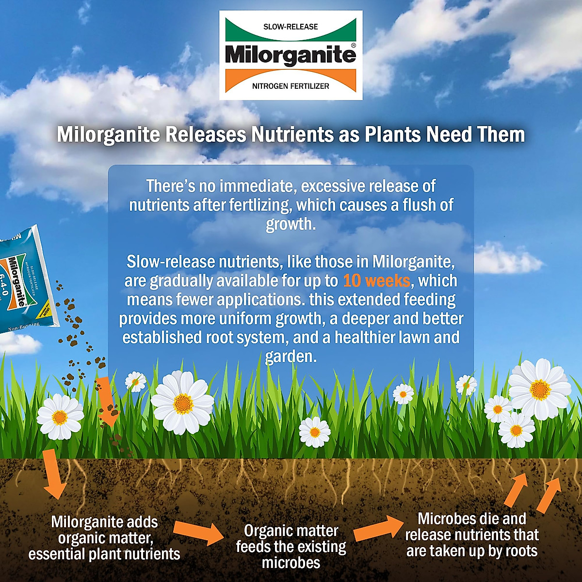 Milorganite All-Purpose Eco-Friendly Slow-Release Nitrogen Lawn Fertilizer 6-4-0, 32lb