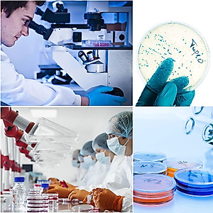 40Pack Plastic Petri Dishes Set, 4 Inch Culture Dish Plates with Lids, Clear Culture Plates with 100Pcs 3ml Transfer Pipe for School Studies, Science Projects, Art Projects