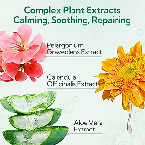 BREYLEE Blackhead Remover Mask, Tea Tree Oil Nose Pore Strips +100 papers, Puntos Negros, Peel Off Mask for Nose and Face, Pore Cleanser Purifying, Brush Desigh