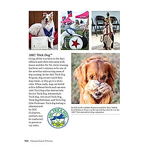 Canine Good Citizen: The Official AKC Guide, 2nd Edition: Ten Essential Skills Every Well-Mannered Dog Should Know (CompanionHouse) How to Train, Practice, and Pass the American Kennel Club's CGC Test