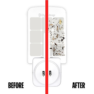 Dynatrap 23007 Glue Card Refills for Indoor Dynatrap Fly Trap Models DT3007 and DT3007W - 6 Glue Card Refills