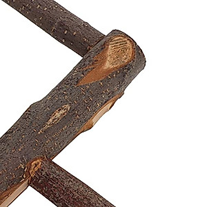 Bird Feeding Bowl Bird Feeding Dish Cup Stainless Steel Bowl with Wood Bird Stand Perch for Parakeet Budgies Lovebirds and Parrot