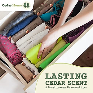 Cedar Hyde Cedar Blocks for Clothes Storage | Cedar Balls & Cedar Rings | Closet Deodorizer | Clothes Protection & Mustiness Prevention | 40 Pieces, 30 Cedar Rings & Bonus 10 Cedar Balls, U.S.A Seller