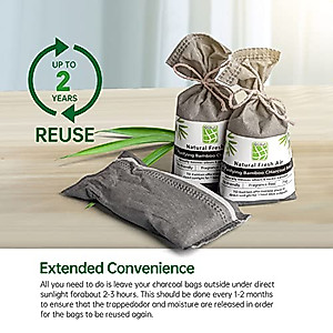 10 Pack Bamboo Charcoal Nature Fresh Air Purifying Bags,Activated Charcoal Bags Odor Absorber, Moisture Eliminator,Deodorizer, Air Fresheners For Car Smell,Closet,Shoe,large Room,Pet Room (10x75g)