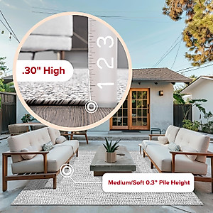 nuLOOM Braided Indoor/Outdoor Area Rug, 4' Round, Wynn Salt And Pepper