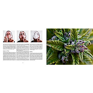 An American Cannabis Story