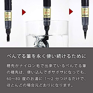 Pentel XFP5F Brush Pen, Pentel Brush, Ultra Fine, Black, 1.6 x 9.1 x 0.6 inches (40 x 230 x 15 mm)