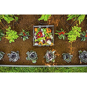 Vita Urbana 3 Foot x 5 Foot Embossed Vinyl Keyhole Garden with Composting Basket, Slate Grey, Gray, PVC, BPA and Pthalate Free, Woodgrain, VT17602