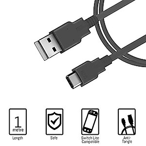 Orzly Switch Lite Accessories Bundle - Case & Screen Protector for Nintendo Switch Lite Console, USB Cable, Games Holder, Comfort Grip Case, Headphones, Thumb-Grip Pack & more (Orzly Gift Pack - Grey)