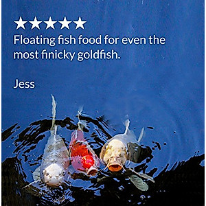 API POND FISH FOOD Pond Fish Food 1.56-Pound Bag