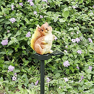 Juliahestia Squirrel Garden Decor Solar Lights Outdoor Stakes Decorative Statue Patio Yard Lawn Porch Housewarming Cute Animal Figurines Ornaments Pathway Resin Waterproof