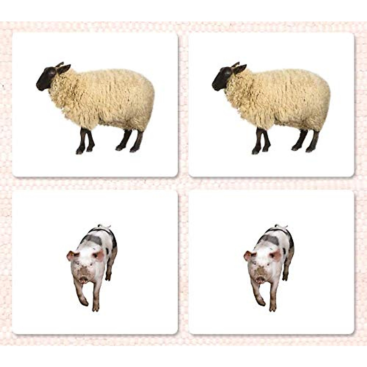 Adult Farm Animals: Matching Cards