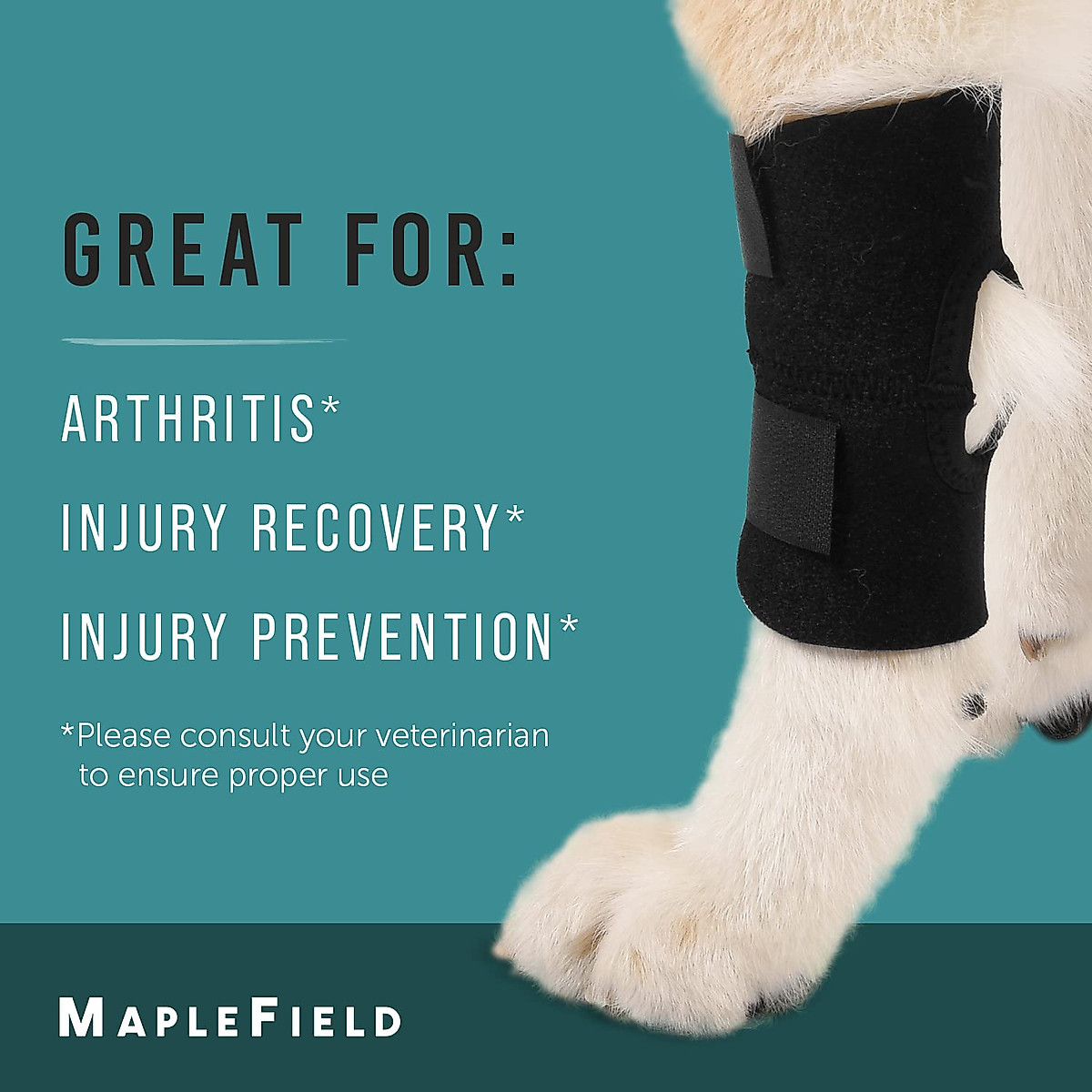 Maplefield - Dog Leg Brace - Rear Hock Hind Leg Support for Canines - Helps Promote Healing and Rehabilitation, Prevents Injuries, and Helps with Arthritis (XS)