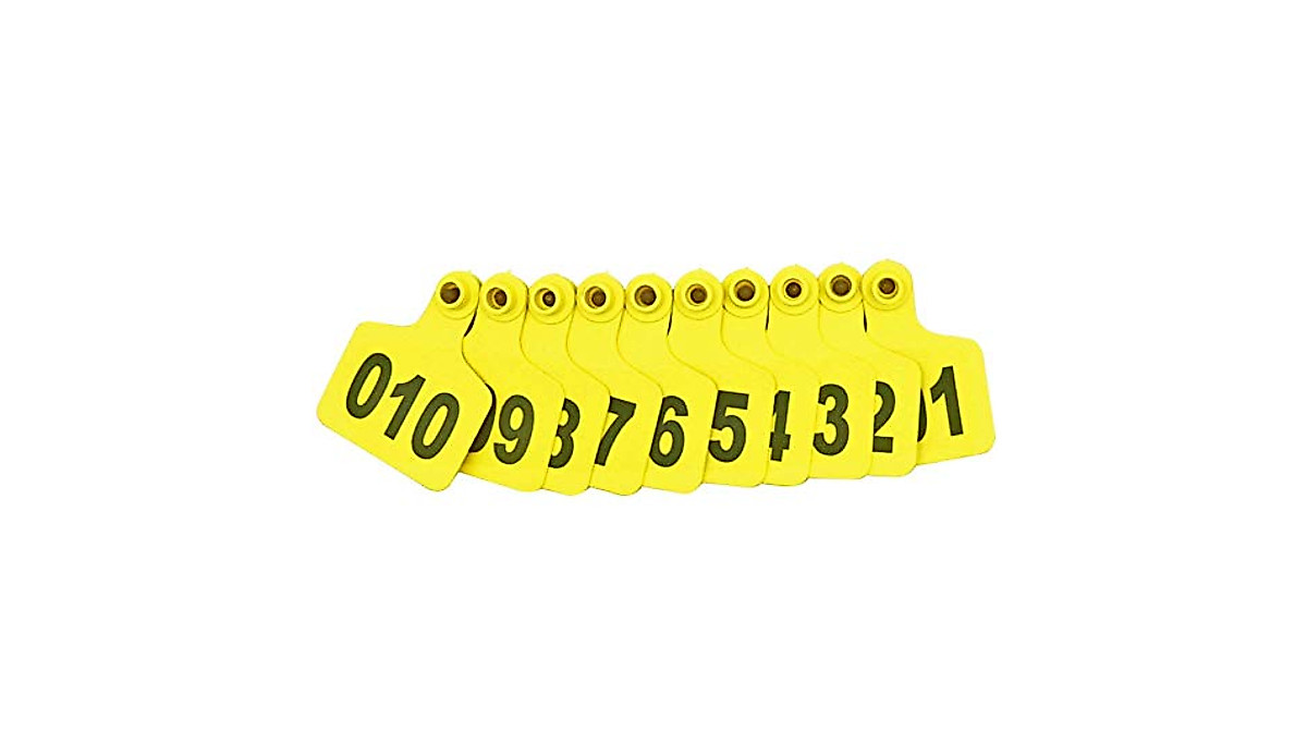Durable Cattle Ear Tags for Livestock Identification