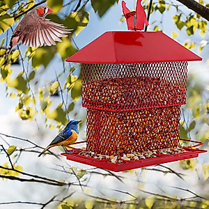 Bird Feeder for Outside Hanging Squirrel Proof Bird Feeders Metal Wild Bird Feeder Retractable Outdoor Feeder with 6 Perches for Cardinal, Finch, Chickadee, Bluebirds etc(Red)