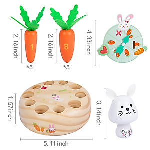 Uncle Nick Wooden Toys for Toddlers Montessori for Toddler Carrot Harvest Game, Developmental Shape Sorting Matching Puzzle Game for 3 Year Old Baby Boys and GirlsGifts Fine Motor Skill Toy