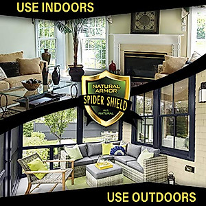 Spider Killer & Repellent Spray - Powerful Peppermint Formulation Kills & Repels All Types of Spiders and Works Better Than Ultrasonic Gimmicks – 128 fl oz Gallon Ready to Use