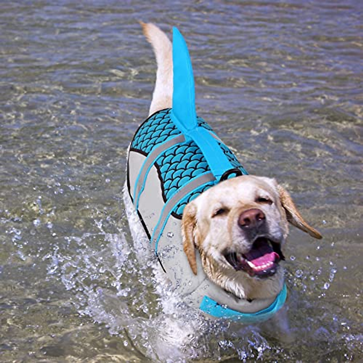 ASENKU Dog Life Jackets, Ripstop Dog Life Vest with Reflective Strip,Dog Shark Life Jackets Dog Lifesavers Swimsuits for Swimming Boating, Blue Shark S