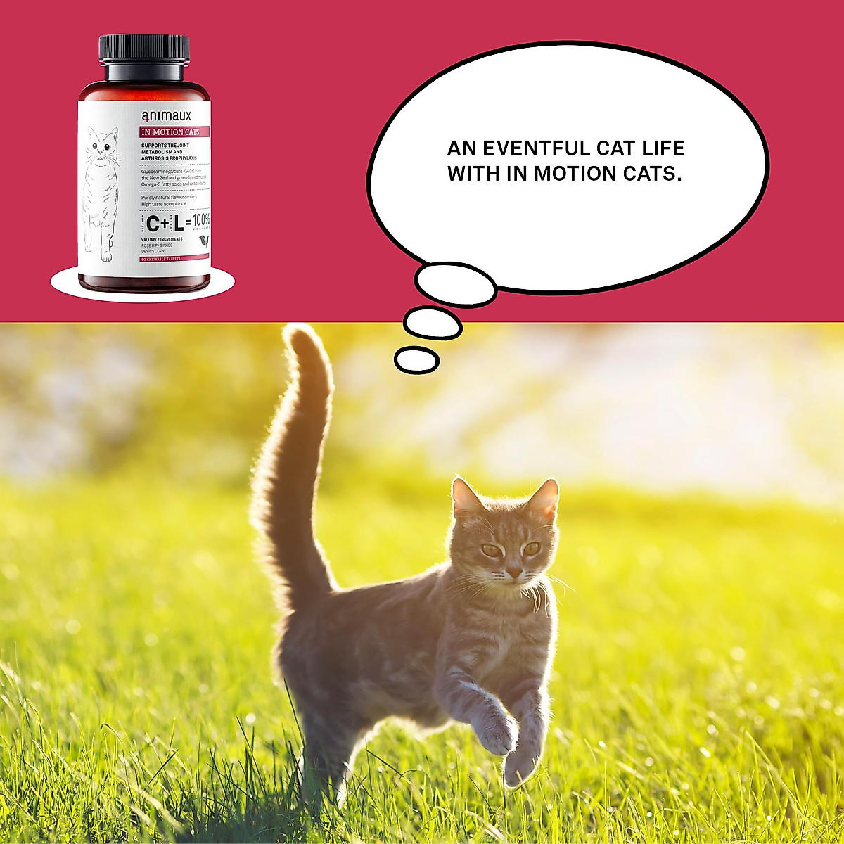 animaux - in Motion Cats, Green-lipped Mussel, Devil's Claw, Rose Hip & Ginkgo, Support for Bones, Joints, Cartilage, tendons, with Hyaluron, Collagen, 90 chewable Tablets, 90 Days Supply