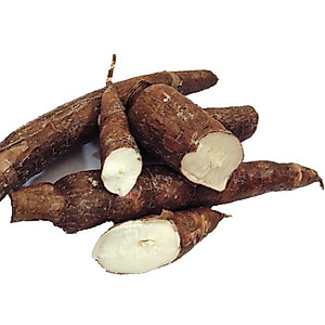 Cassava Twins 1 Month Supply Organic Cassava Root - Fertility Supplement for Twins - Vitamin for a Natural Pregnancy