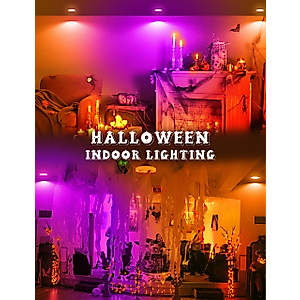 JandCase BR30 Halloween Light Bulbs, E26 Base Halloween Purple & Orange Indoor Flood Light Bulbs, Orange Purple Flood Light Bulbs for Halloween Decoration,11W(65W Equivalent),Not-Dimmable, 2 Pack
