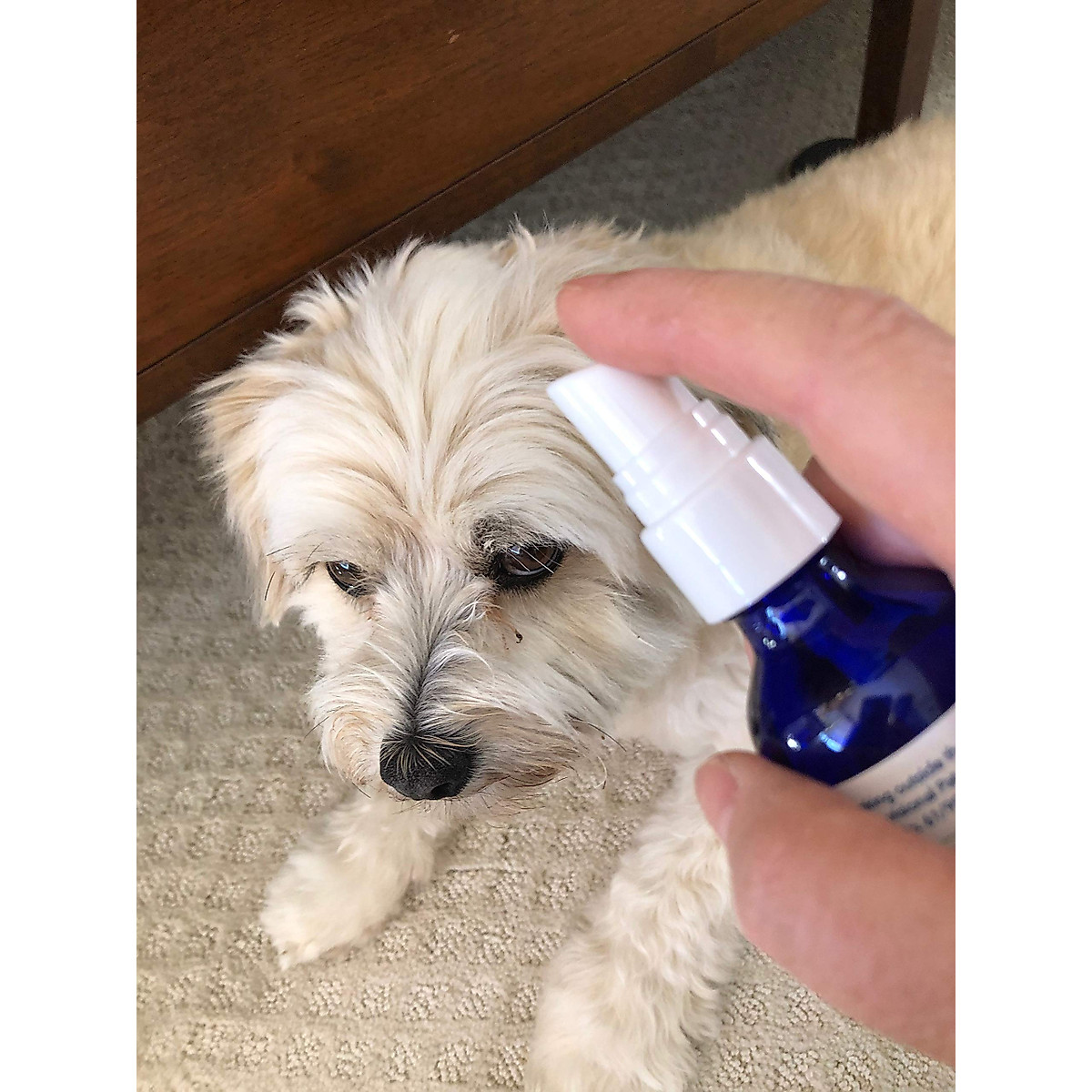 Power - Topical All Natural Liquid Supplement for Aging Pets- Electrolyte Pet Supplement That Promotes Strong, Mobile Joints Naturally (Spray, 1 Ounce) l