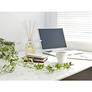 LOVSPA Coconut & Eucalyptus Reed Diffuser Oil Set - Scented Stick Room Freshener - Creamy Coconut, Eucalyptus, Mint, Tonka, Vanilla Sugar - Made in The USA