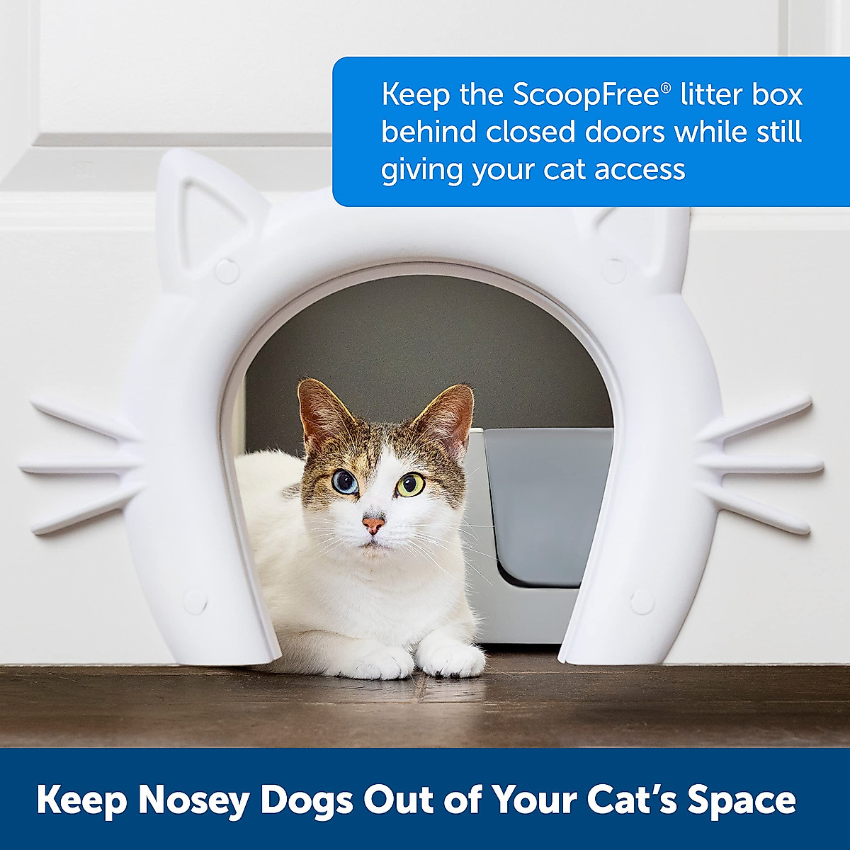 PetSafe ScoopFree Self Cleaning Cat Litter Box & Cat Corridor - Interior Cat Door Keeps ScoopFree Litter Box Hidden From Guests and Dogs - Private Access For Your Cat - Never Scoop Litter Again